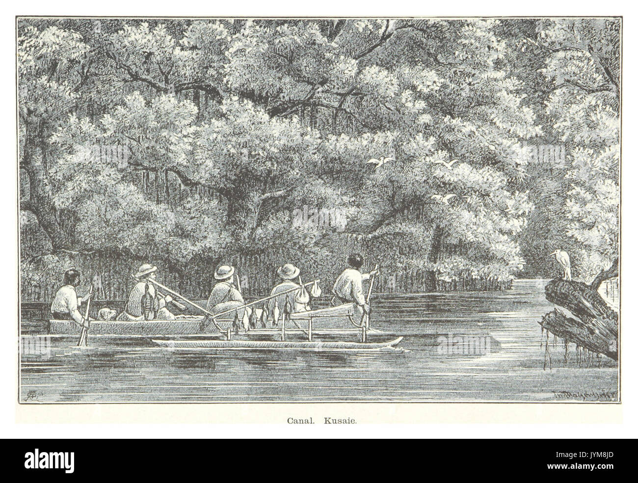 Kusaie hi-res stock photography and images - Alamy