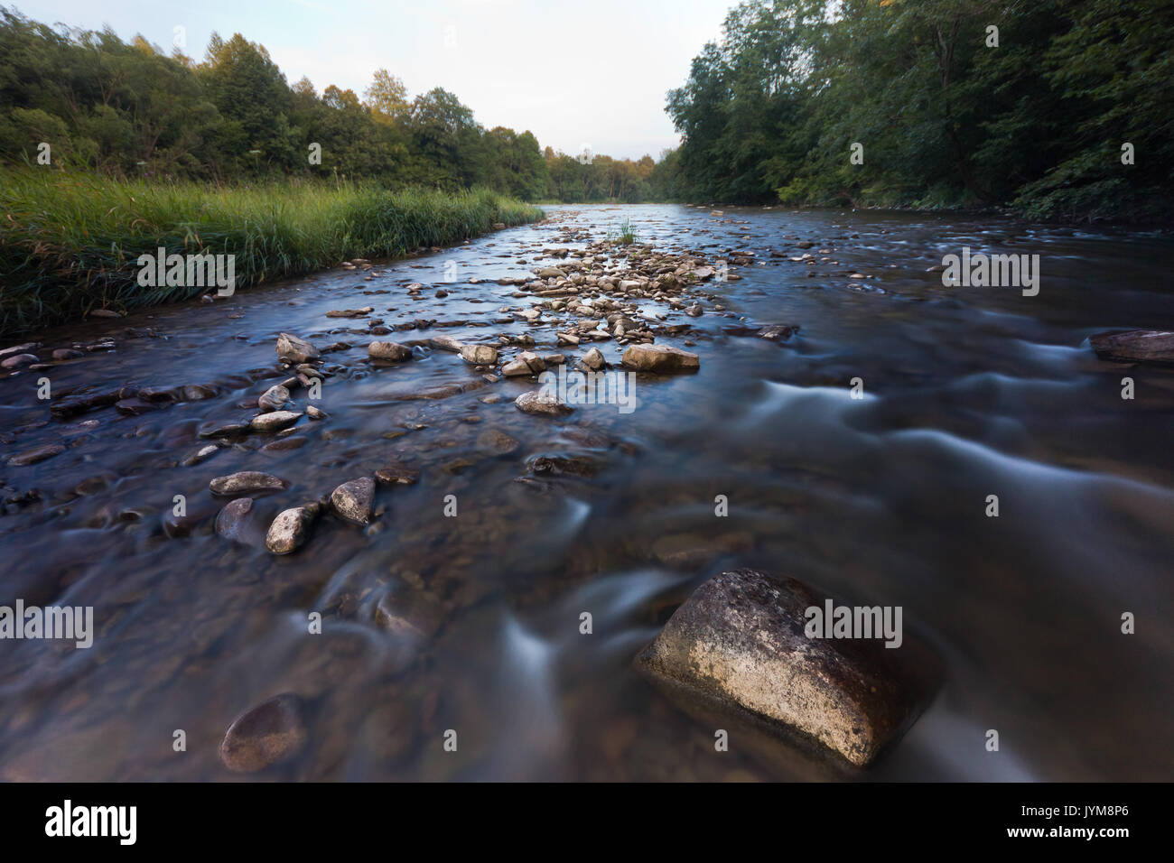 San River in Bieszczady Mountains, Poland Stock Photo - Alamy
