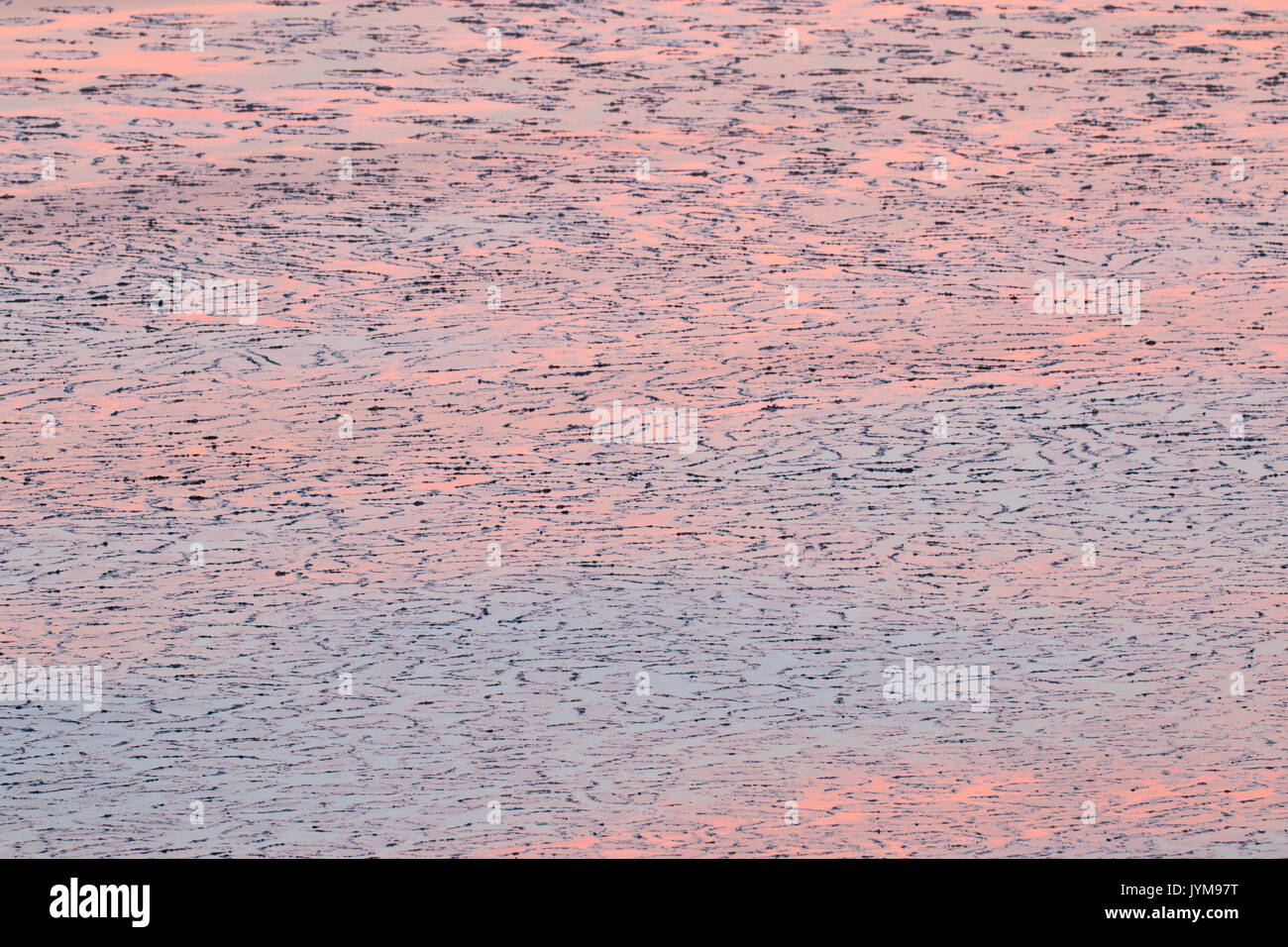 Layer of ice on the surface hi-res stock photography and images - Alamy