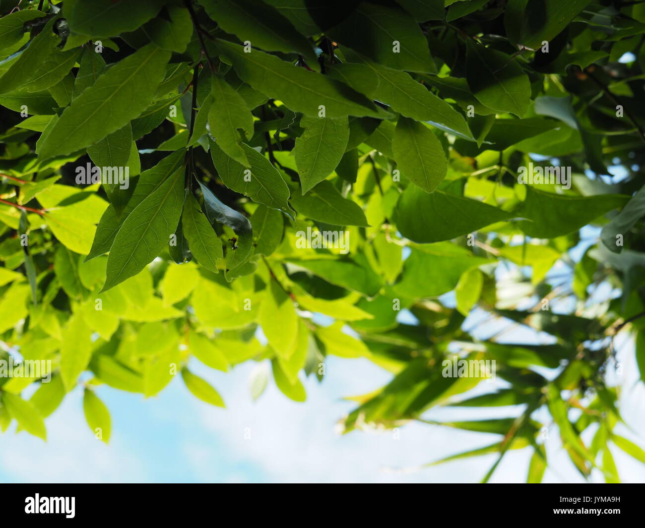 Nature countryside hi-res stock photography and images - Alamy