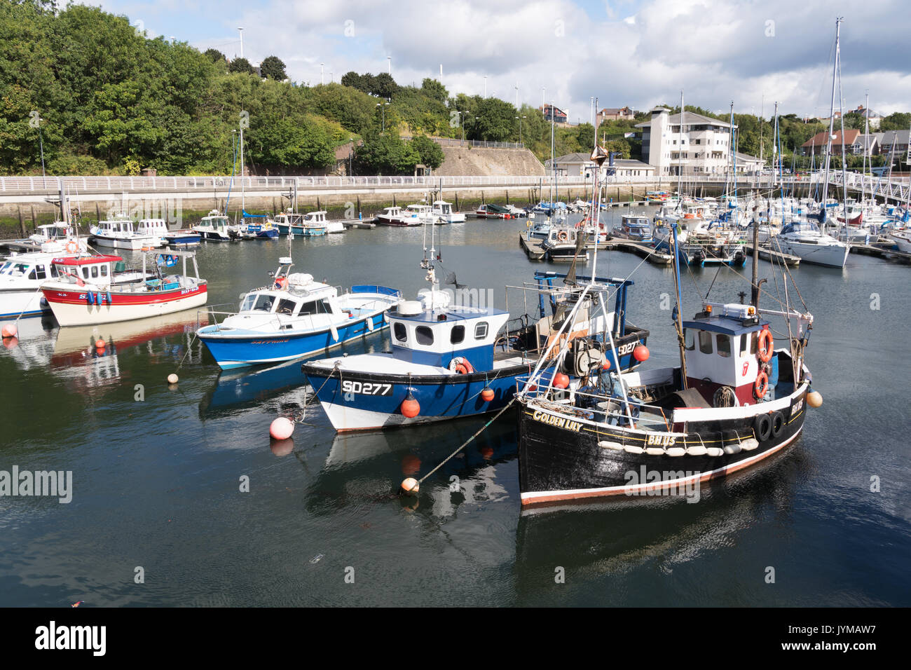 Traditional wooden fishing boats moored in Roker Marina, Sunderland ...