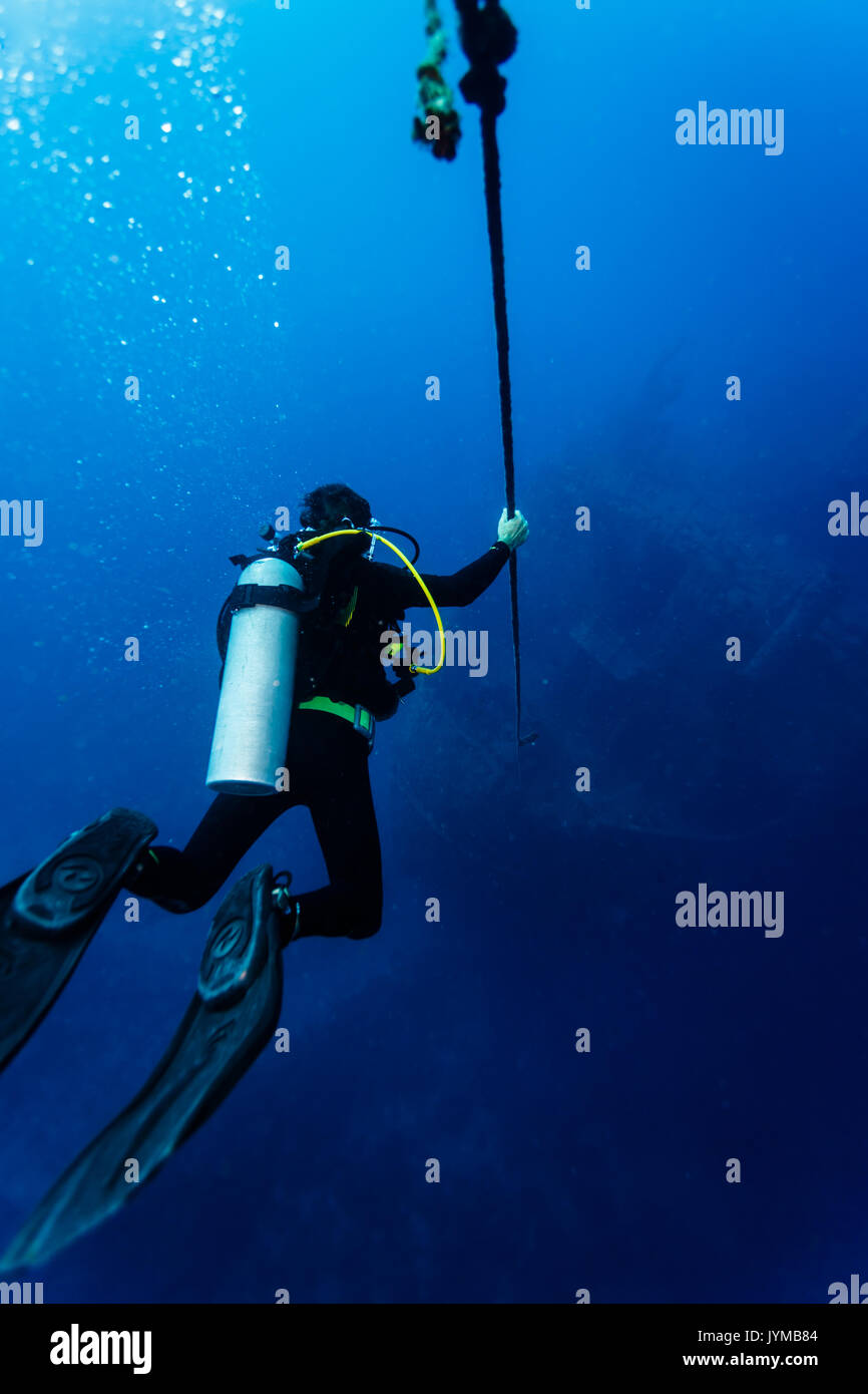Closeup of scuba diver descending long rope to shipwreck Stock Photo ...