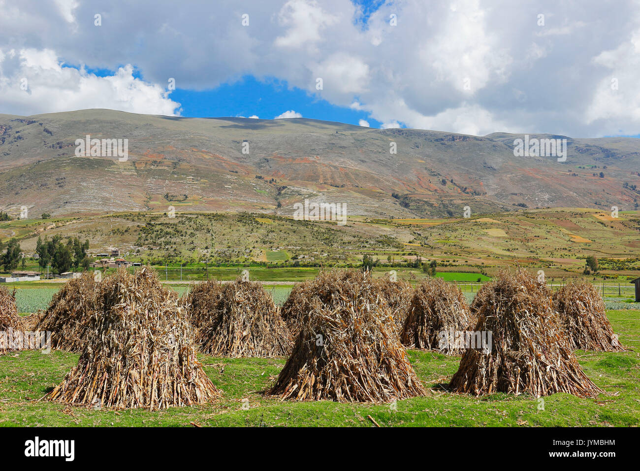 Chala hi-res stock photography and images - Alamy