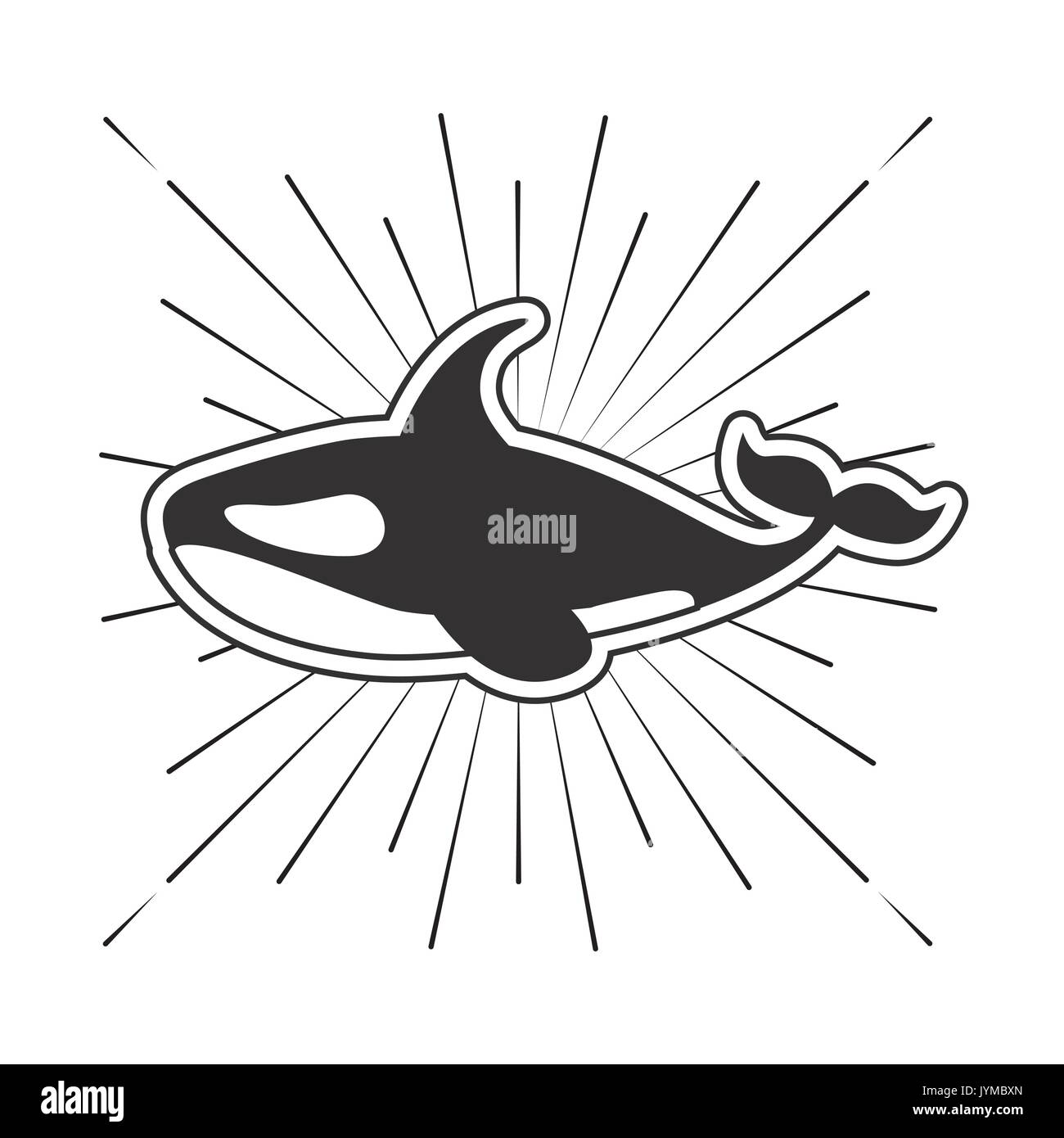 killer whale design Stock Vector Image & Art - Alamy