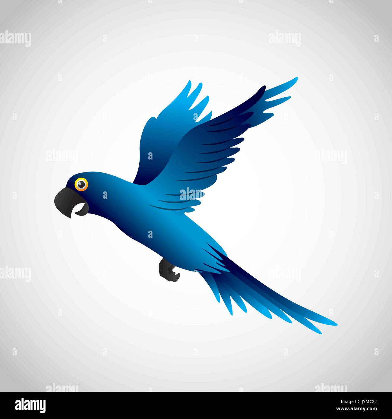 blue macaw design vector illustration Stock Vector Image & Art - Alamy