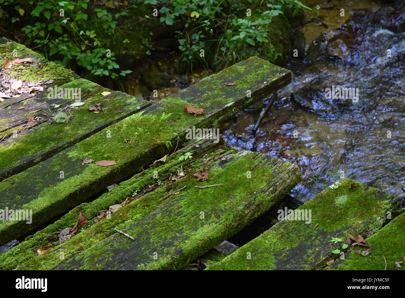 Moss covered bridge hi-res stock photography and images - Alamy