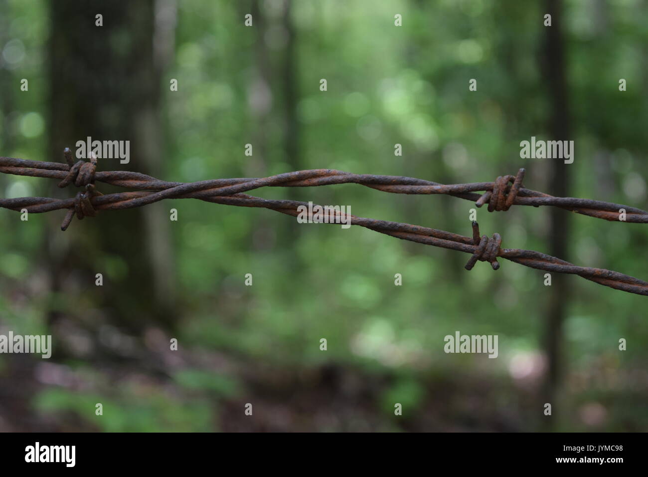 Crossed Barb Wire Stock Photo - Alamy