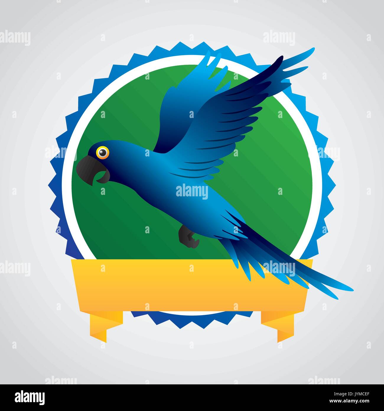 blue macaw design vector illustration Stock Vector Image & Art - Alamy