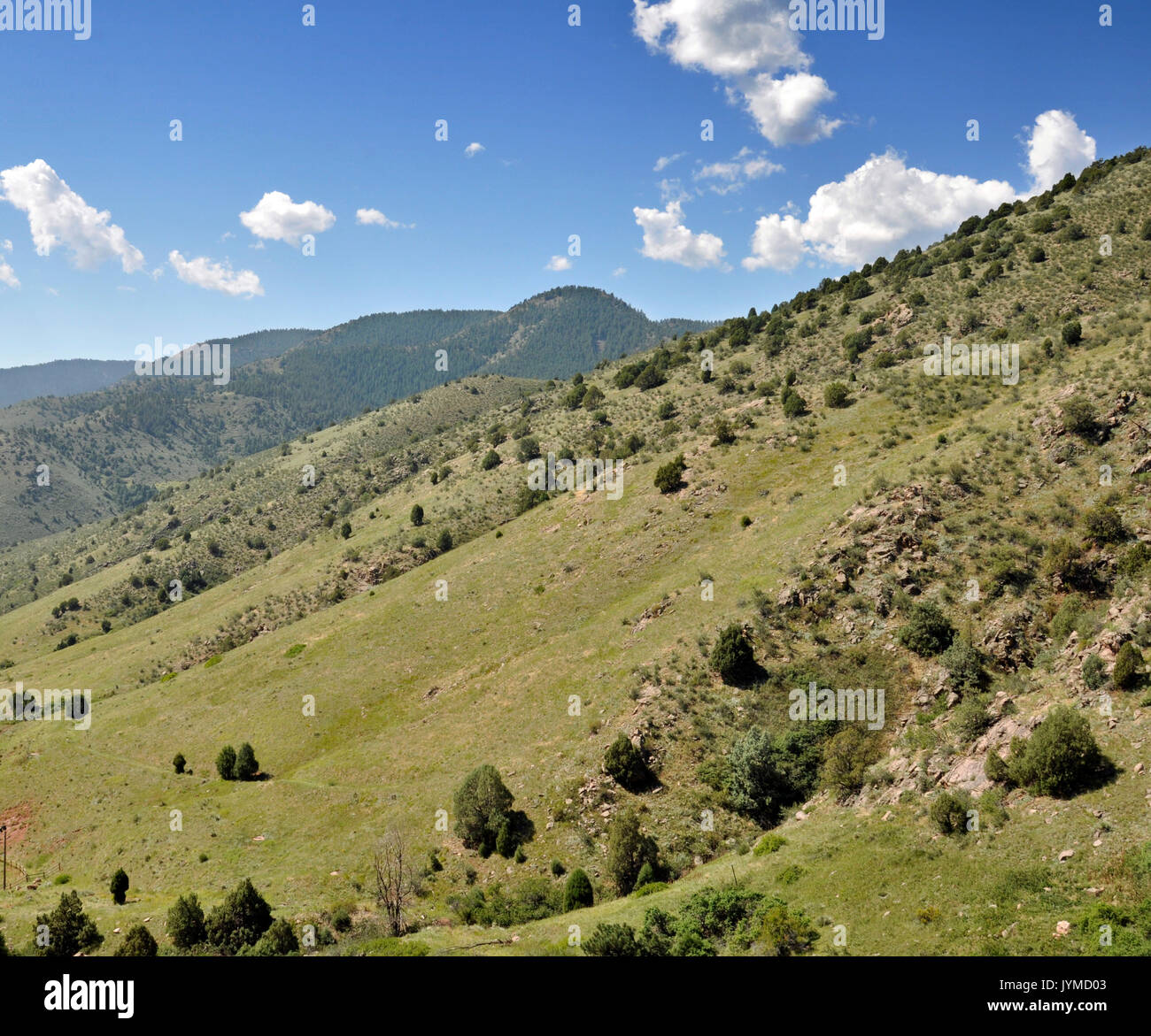 Morrision hi-res stock photography and images - Alamy