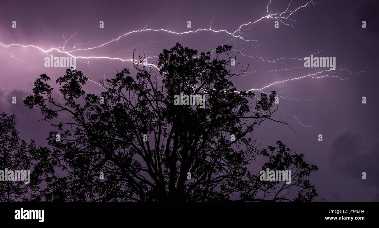 Lightning tree night hi-res stock photography and images - Alamy