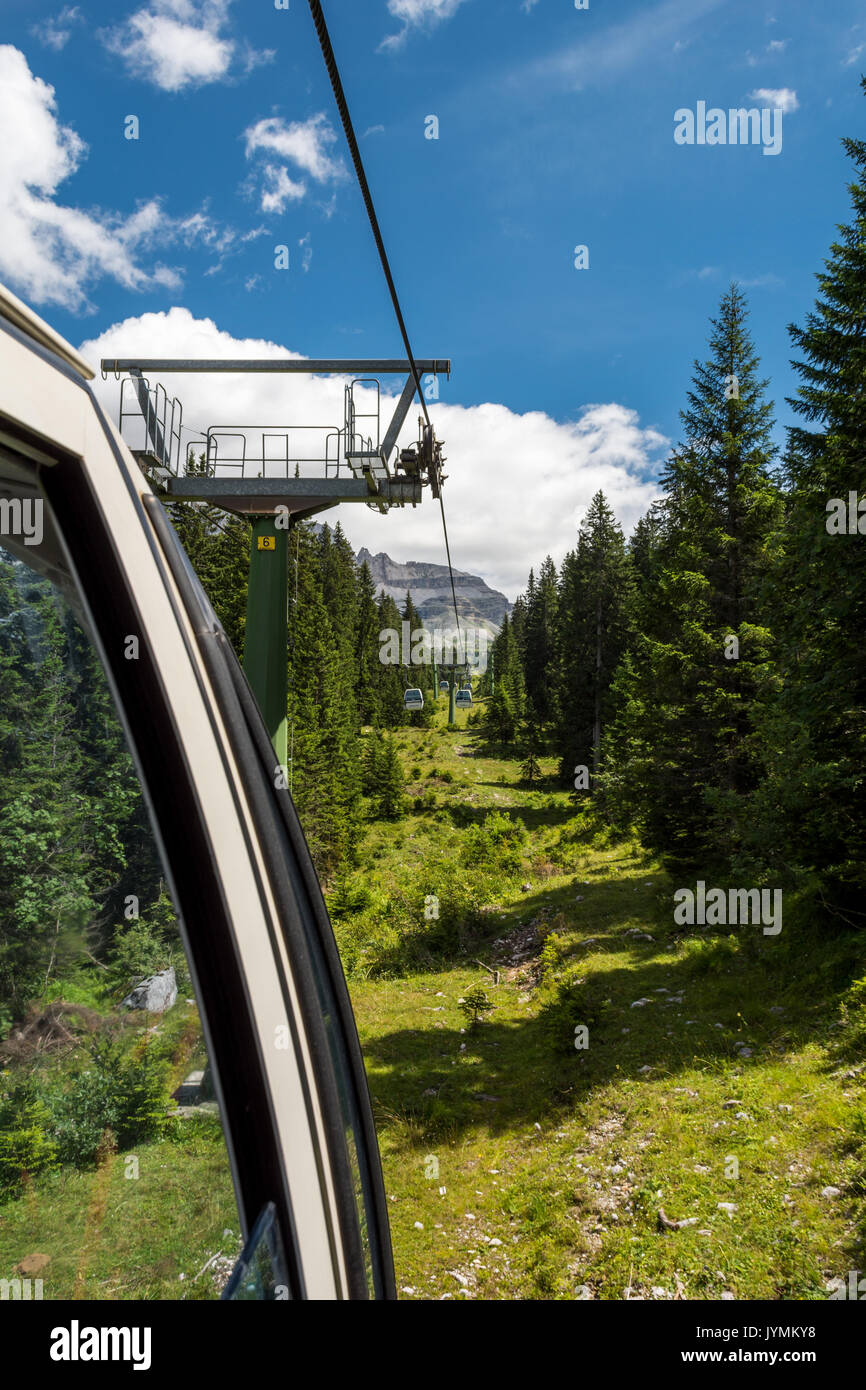 Riding a cable car through a forest Stock Photo - Alamy