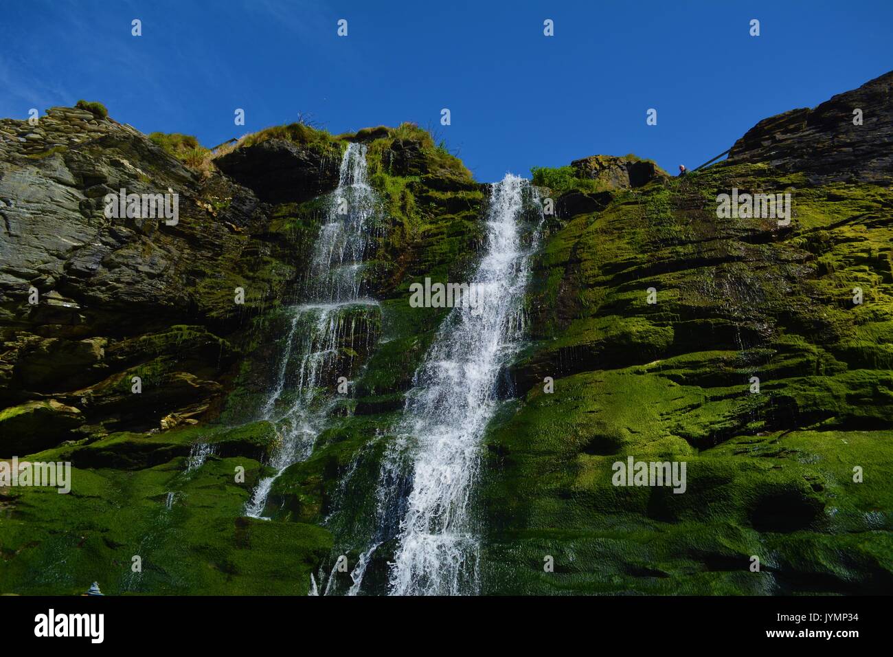 Merlin cove hi-res stock photography and images - Alamy