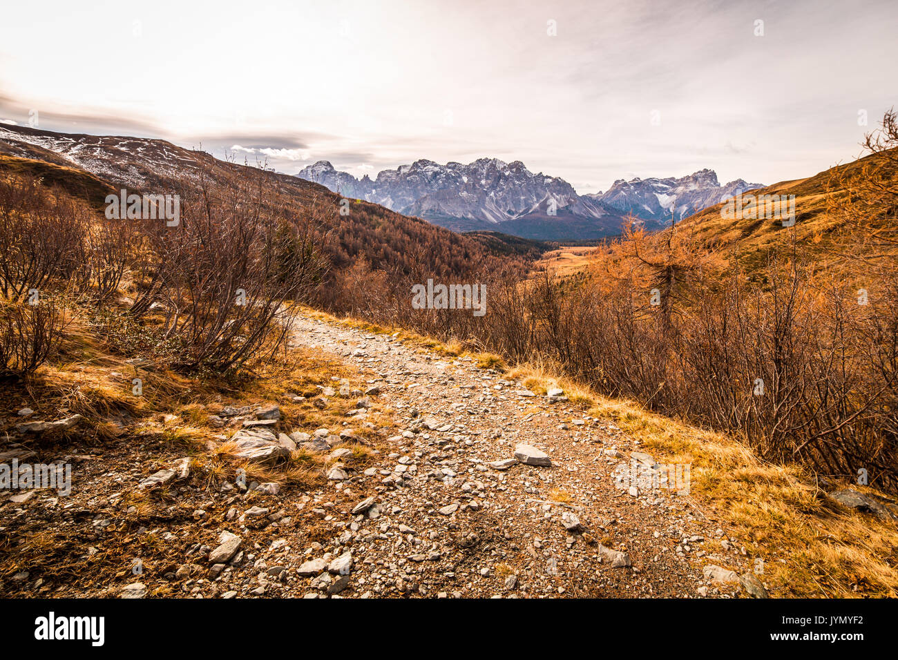 Fall is coming in the italian alps Stock Photo - Alamy