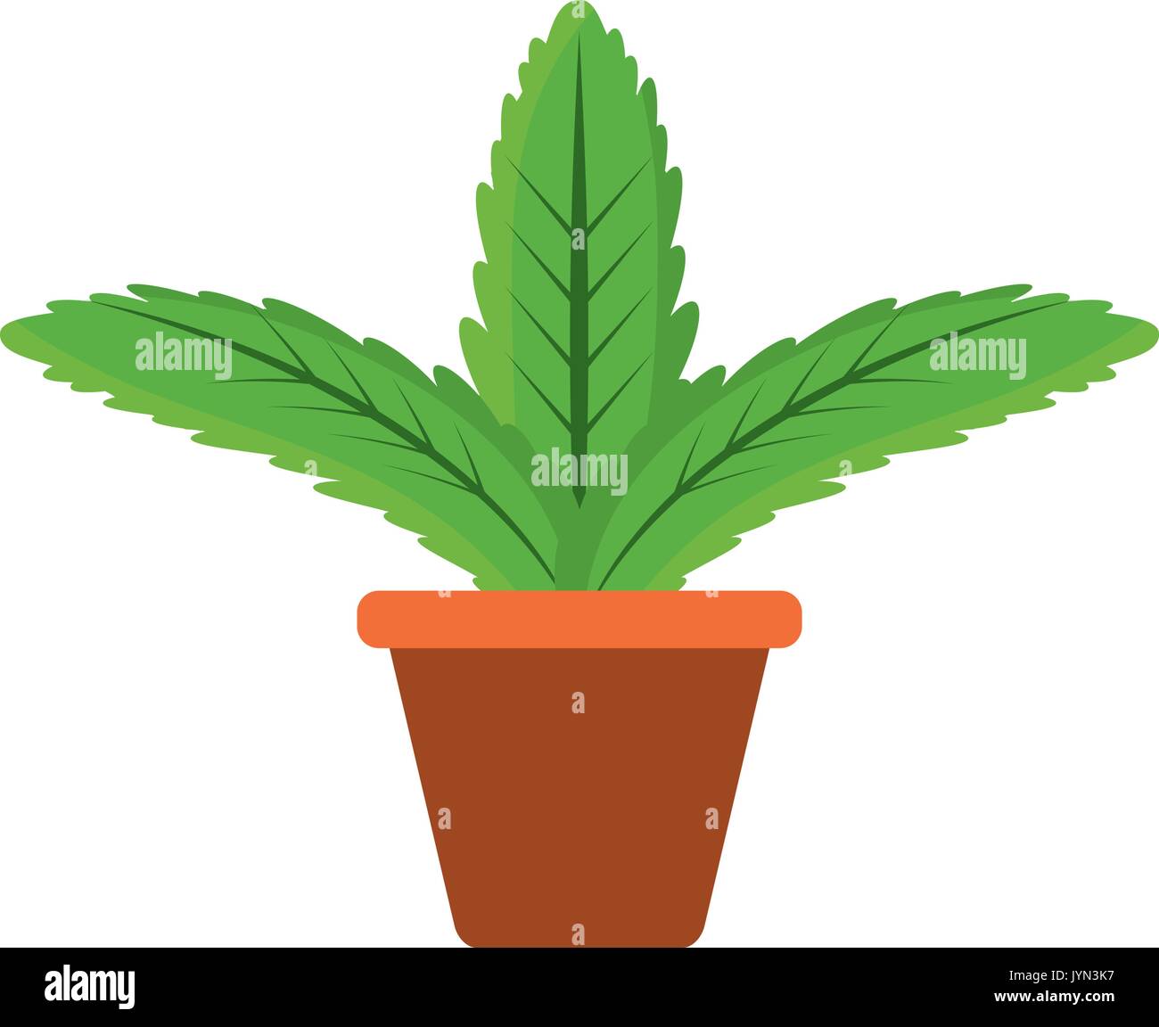 Plant in pot vector illustration Stock Vector Image & Art - Alamy