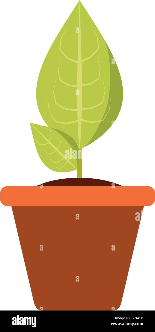 Plant in pot vector illustration Stock Vector Image & Art - Alamy