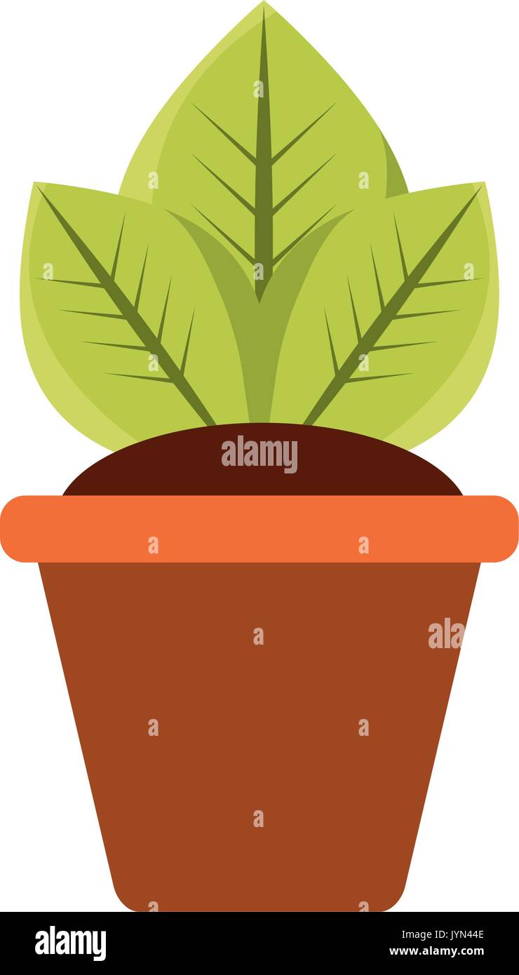 Plant in pot vector illustration Stock Vector Image & Art - Alamy