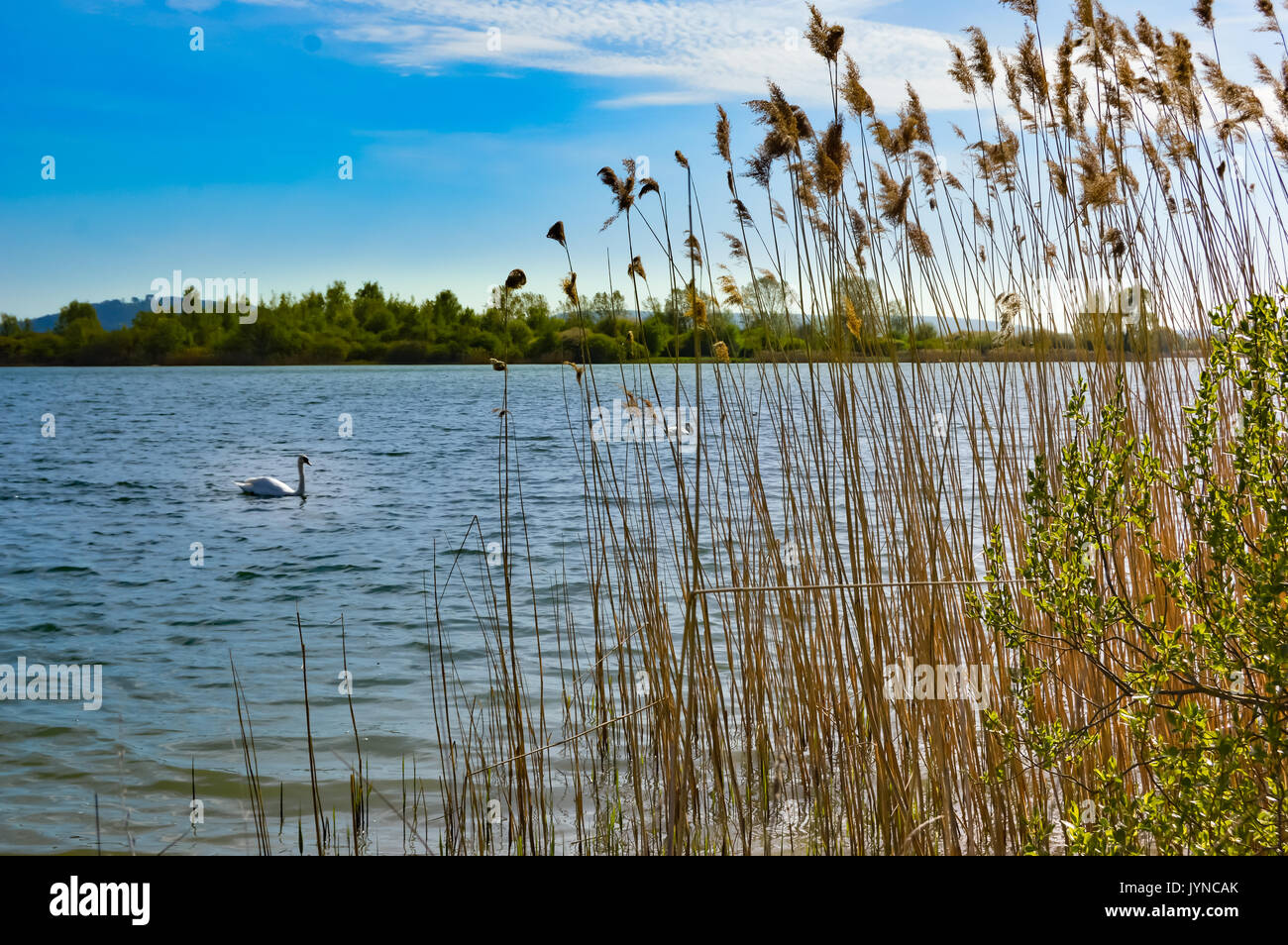 Madine lake hi-res stock photography and images - Alamy