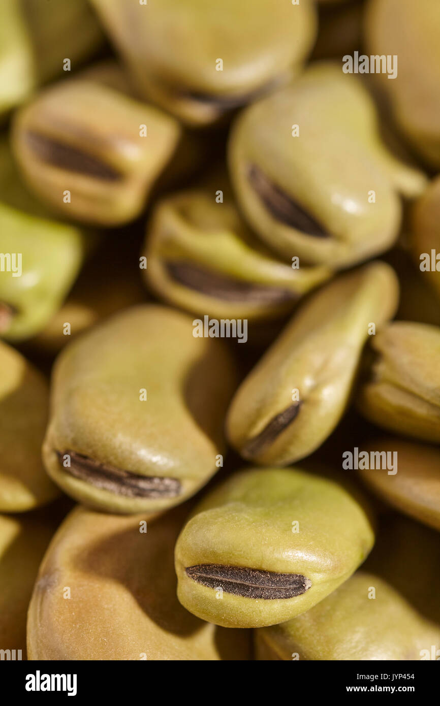 Fava beans hi-res stock photography and images - Alamy