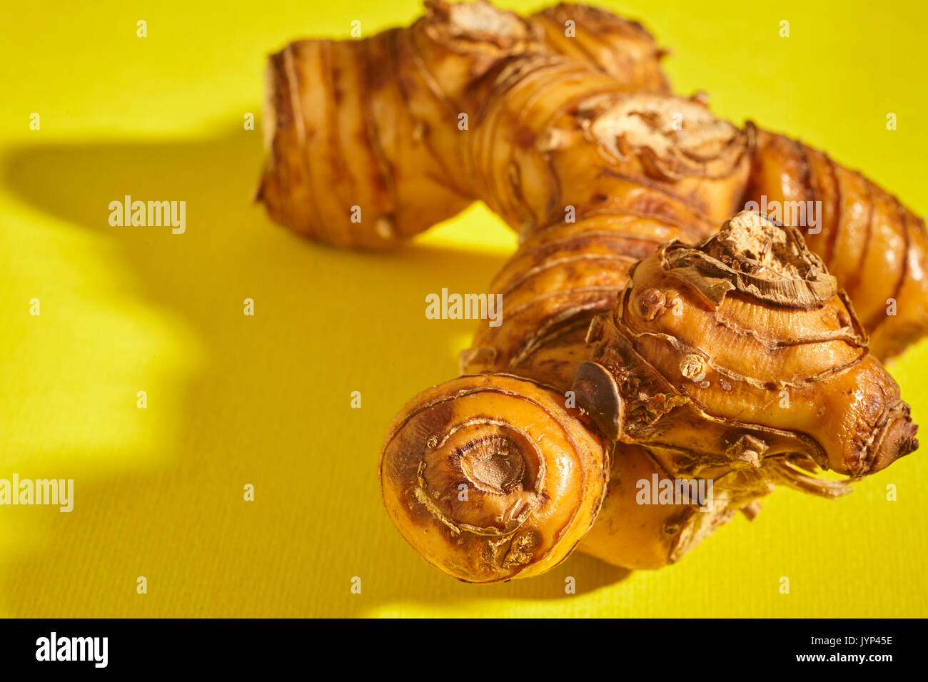 whole, large fresh galangal root, a tropical spice Stock Photo - Alamy