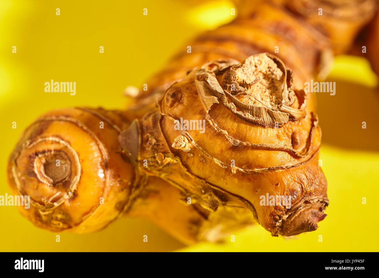 whole, large fresh galangal root, a tropical spice Stock Photo - Alamy