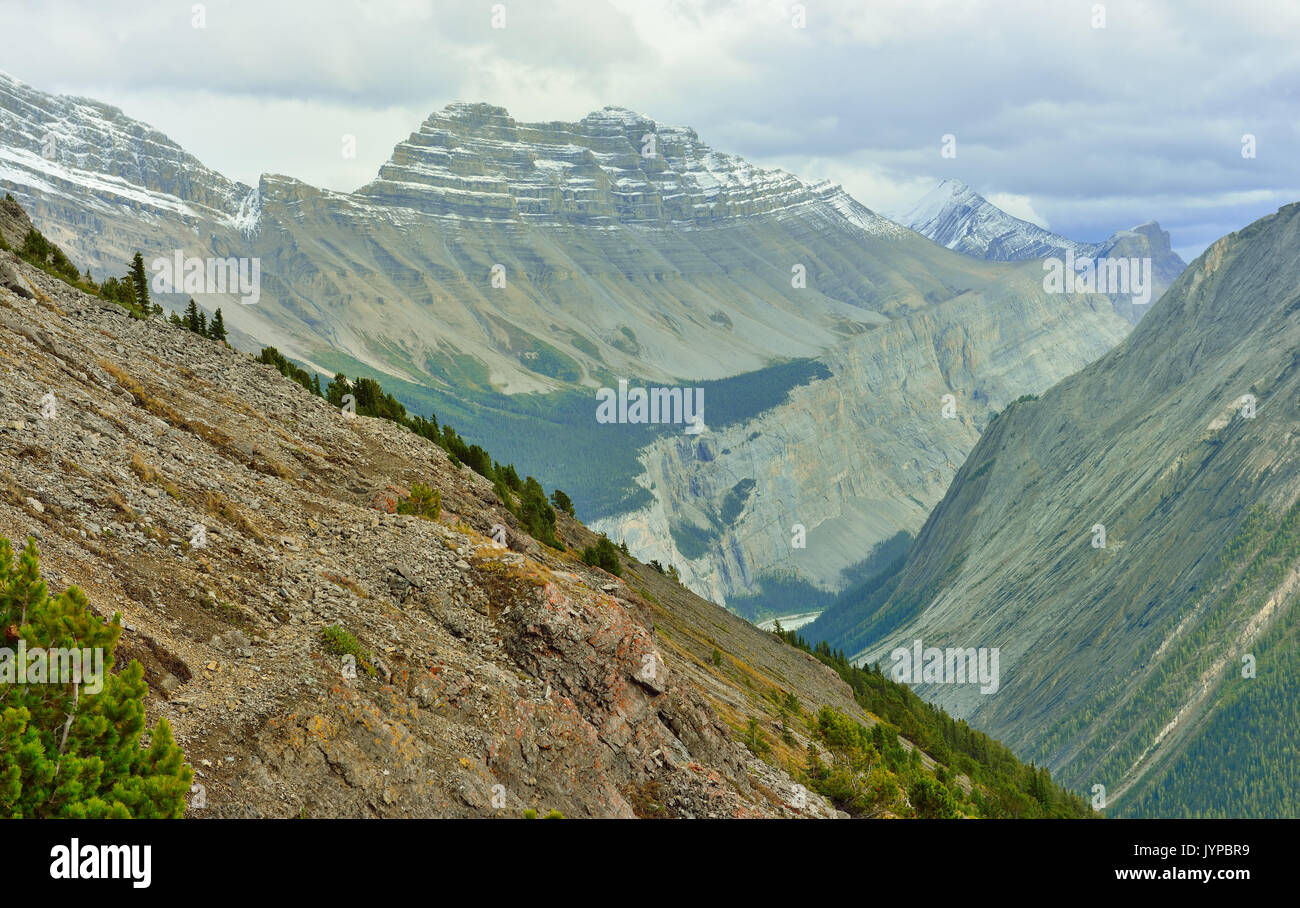 High mountains of the Canadian Rockies along the Icefields Parkway ...