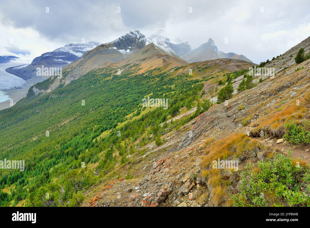 High mountains of the Canadian Rockies along the Icefields Parkway ...
