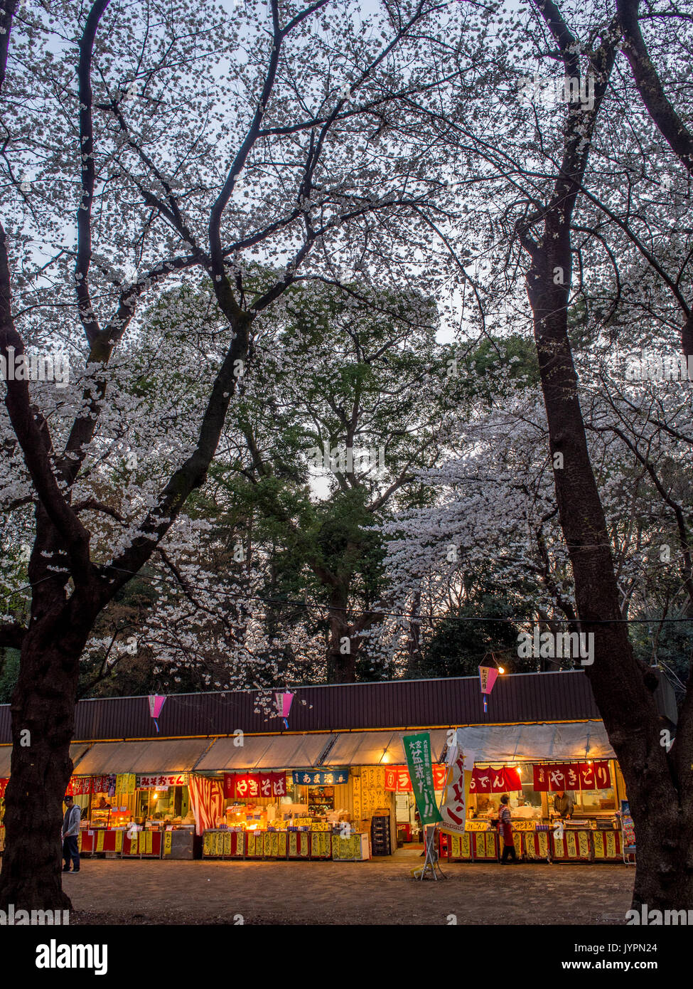 A row of food stalls, early evening ready for the hanami crowds to ...