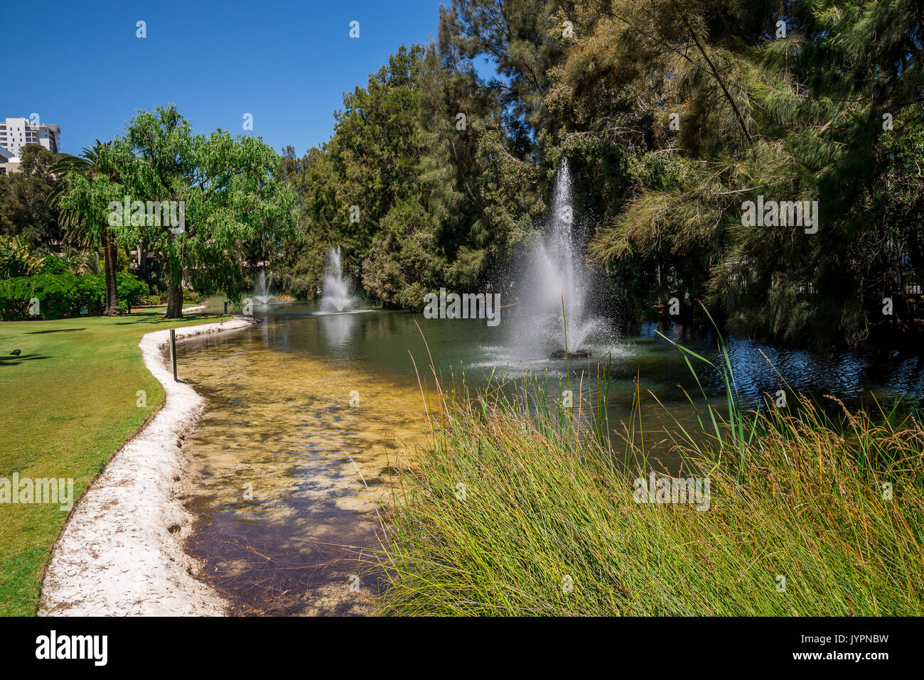 Fountains in a small pond at Government House gardens in Perth City ...