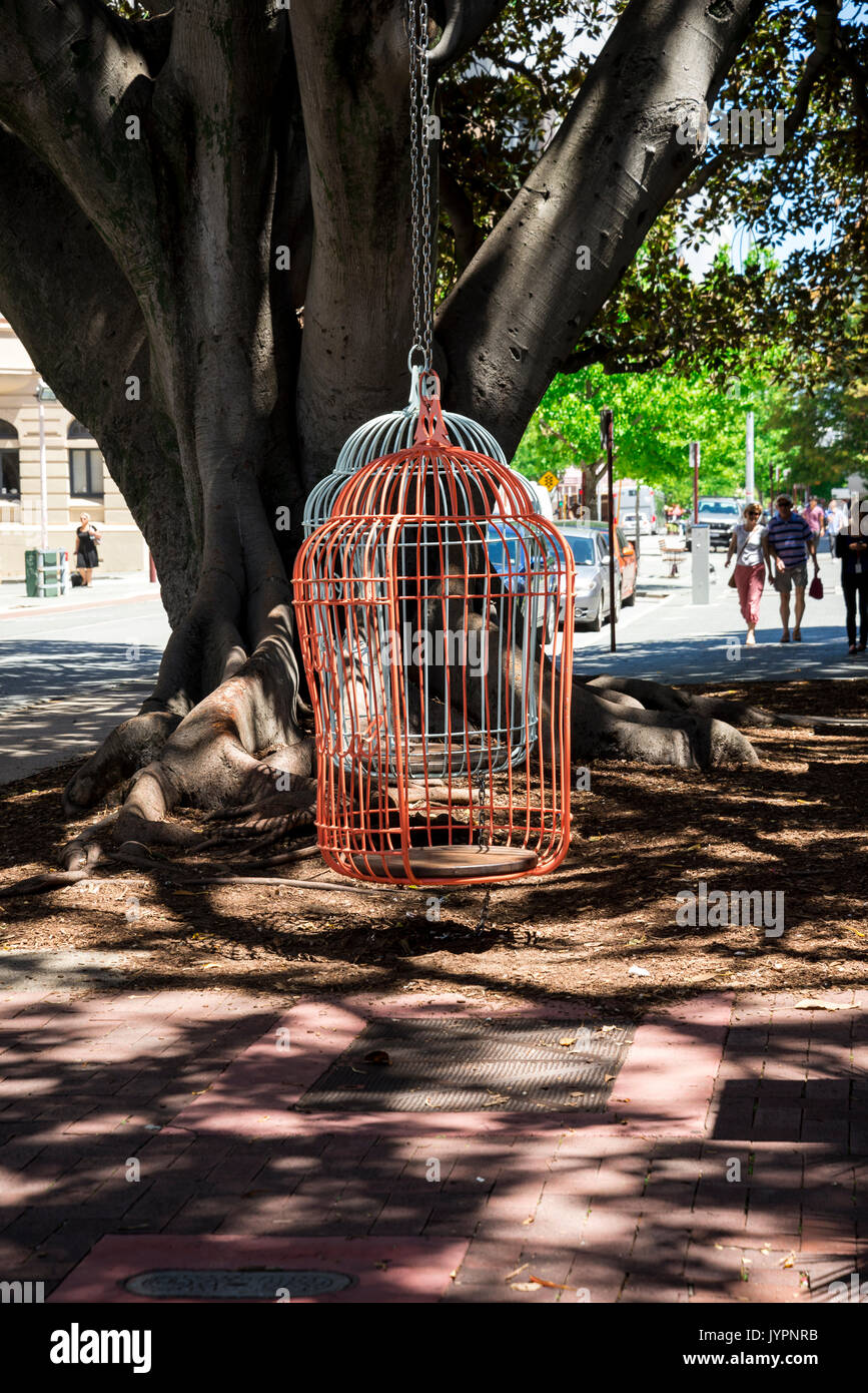 Cage hanging on tree hi-res stock photography and images - Alamy