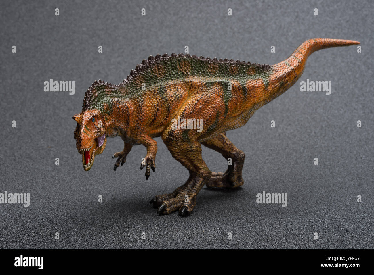 acrocanthosaurus toy with shadow on a dark background Stock Photo - Alamy