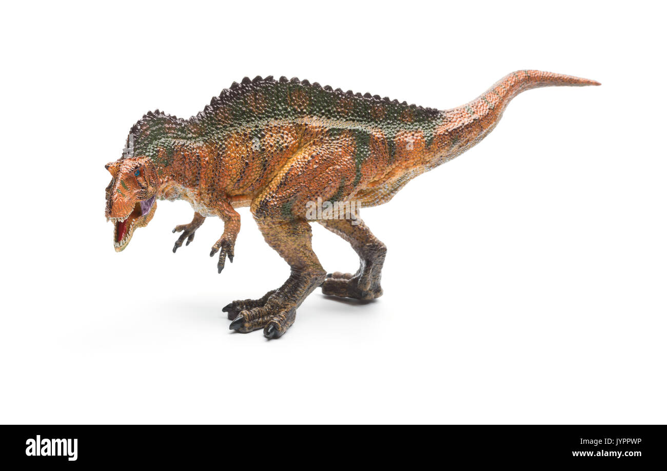 side view acrocanthosaurus toy with shadow on a white background Stock ...