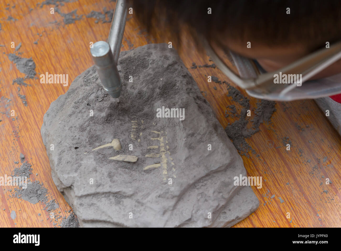 Excavating Dinosaur Bones High Resolution Stock Photography and Images ...