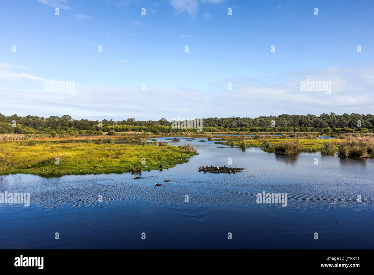 Yanche national park hi-res stock photography and images - Alamy
