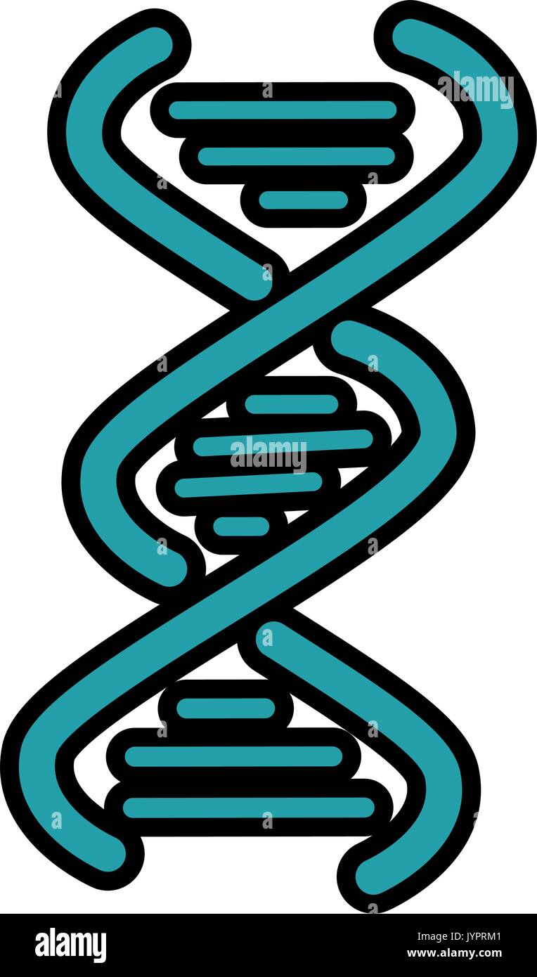 DNA chain icon Stock Vector Image & Art - Alamy