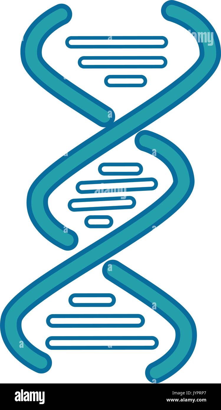 DNA chain icon Stock Vector Image & Art - Alamy