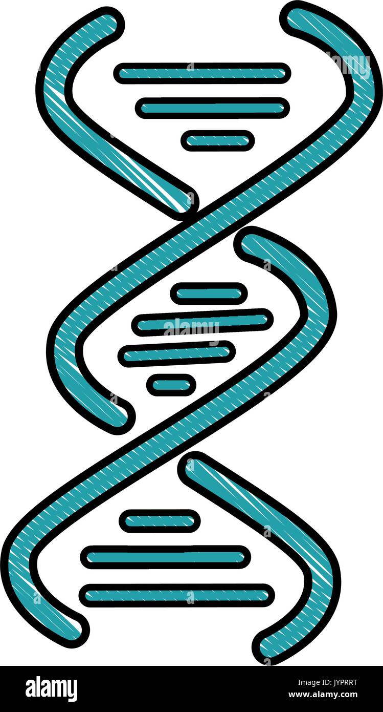 DNA chain icon Stock Vector Image & Art - Alamy