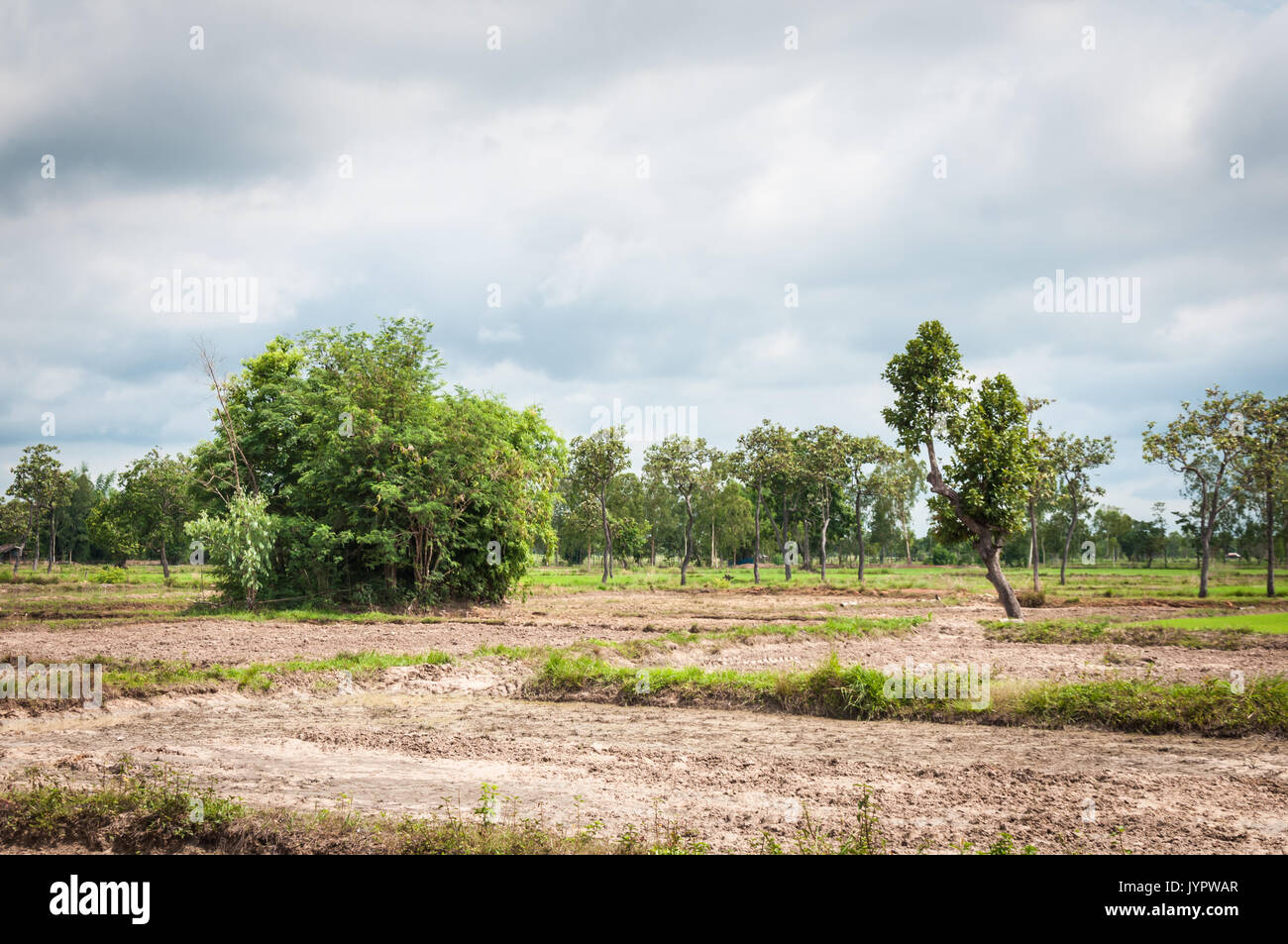Dirty place near rice farm of Thailand Stock Photo - Alamy