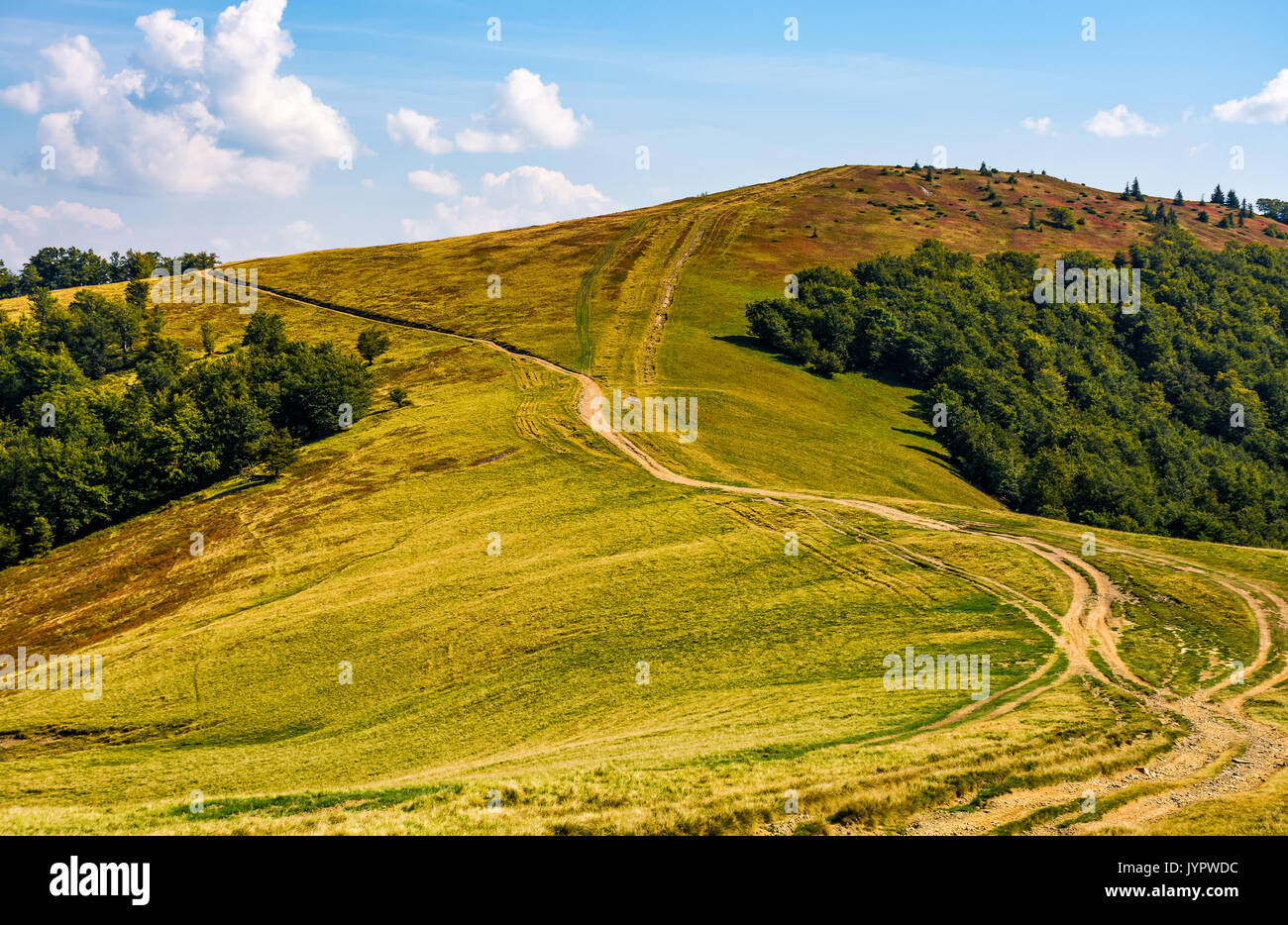 path through alpine mountain ridge. lovely early autumn landscape in ...