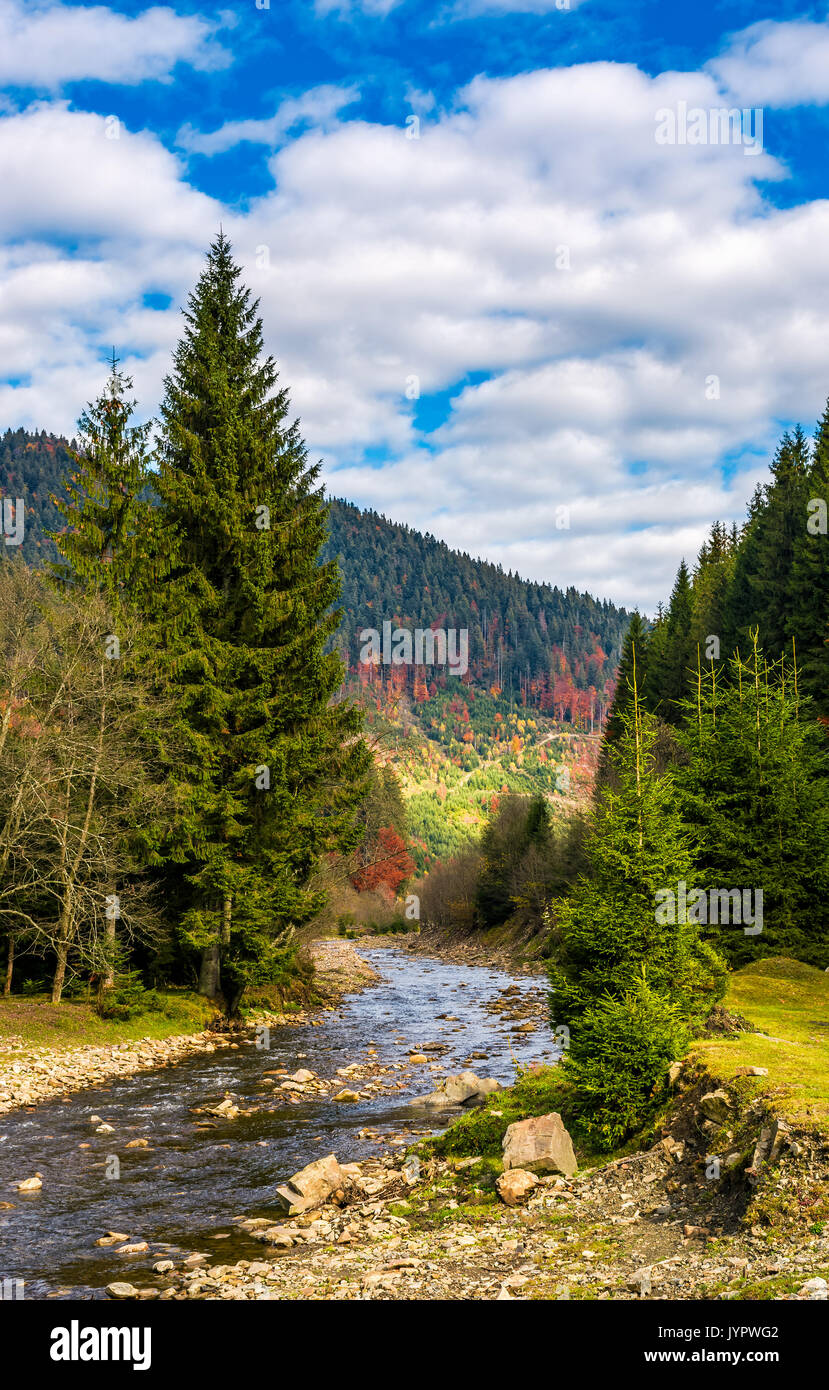 The spruce river hi-res stock photography and images - Alamy