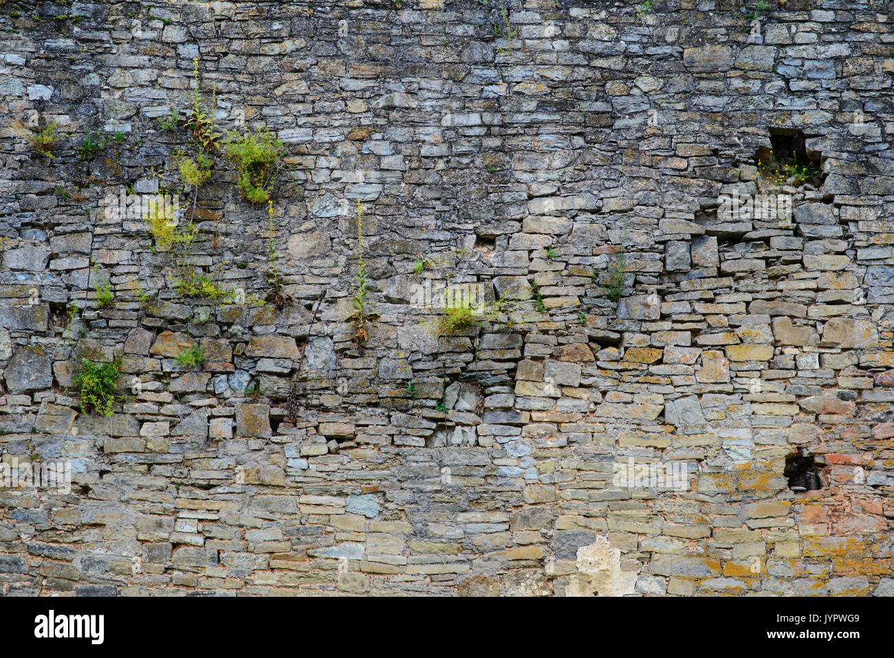 texture of old medieval castle wall with loophole made from gray stones ...