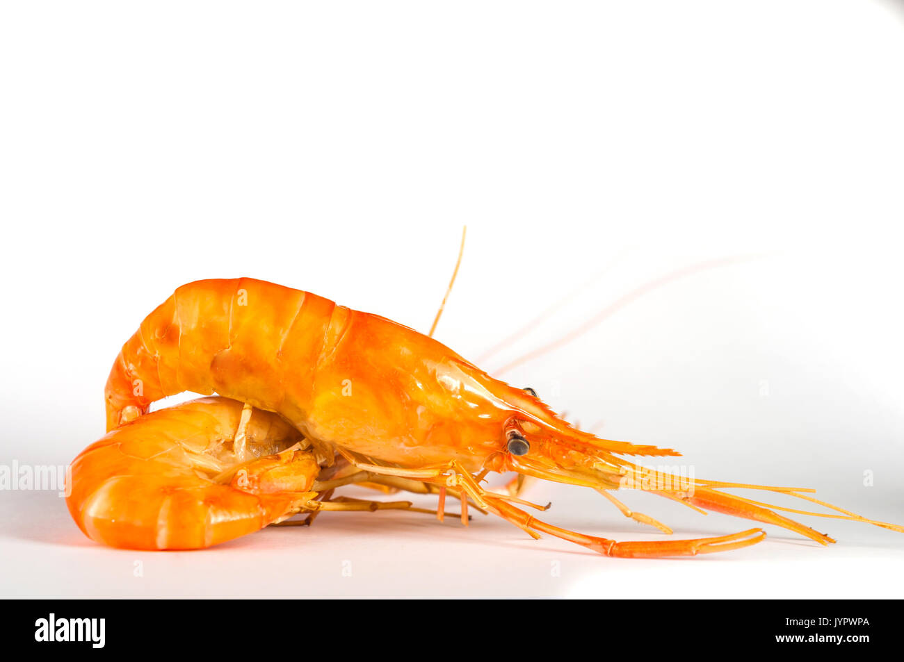Two fresh grilled prawns on white background Stock Photo - Alamy