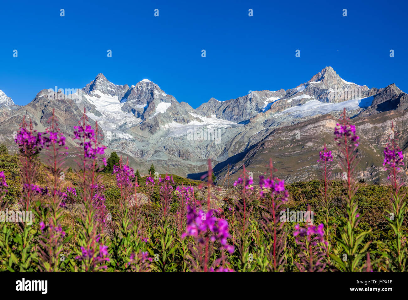 Zermatt area with panorama of Swiss Alps Stock Photo - Alamy