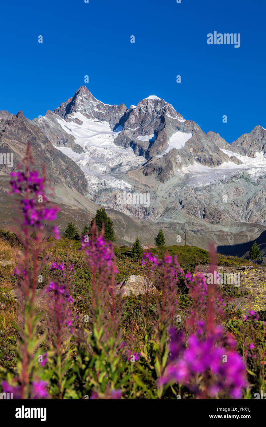 Zermatt area with panorama of Swiss Alps Stock Photo - Alamy