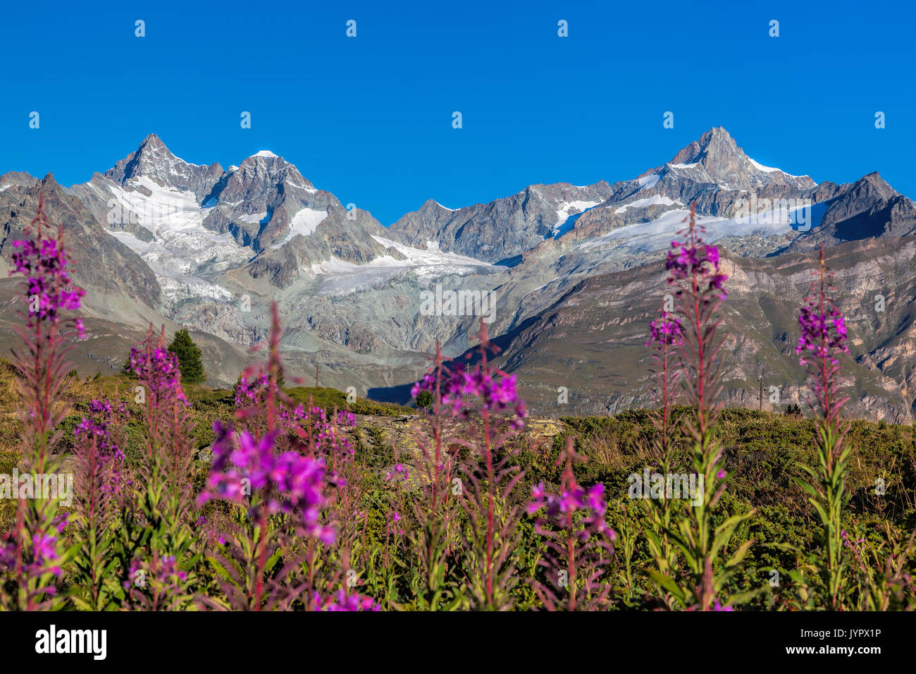 Zermatt area with panorama of Swiss Alps Stock Photo - Alamy