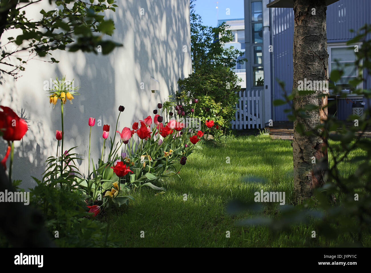 Spring flowers in the garden Stock Photo - Alamy