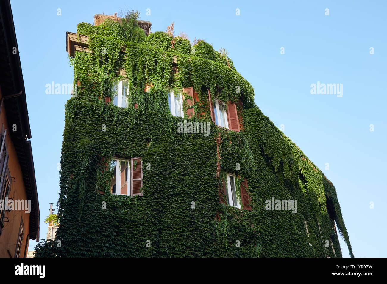 Vine Covered Building Stock Photos & Vine Covered Building Stock Images ...