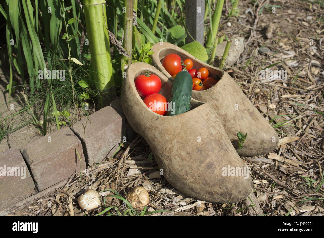 Vegetables inside a pair of wooden shoes Stock Photo - Alamy