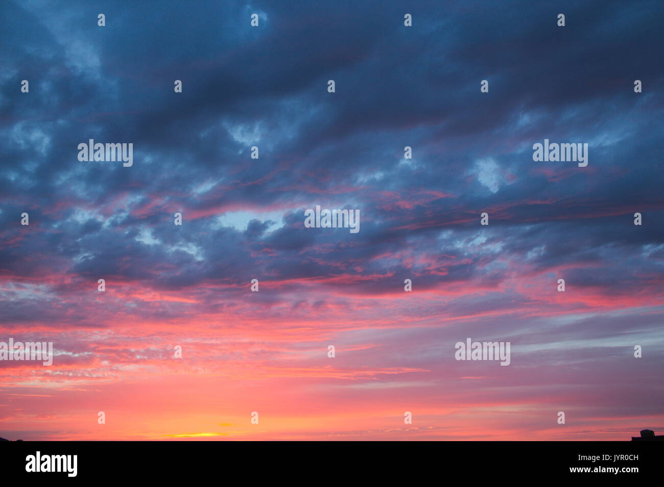 Majestic looks hi-res stock photography and images - Alamy