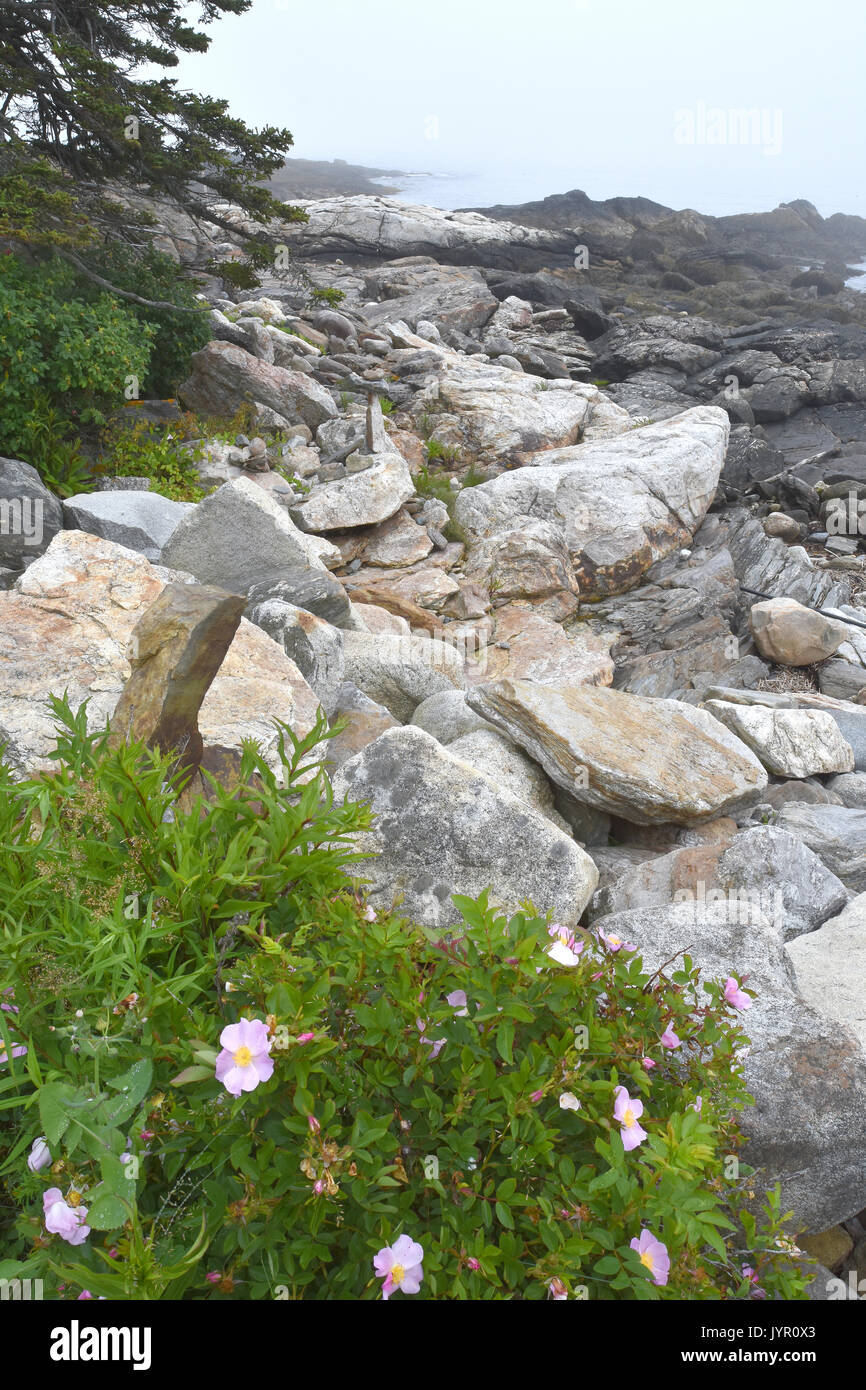 The rocky shore of Ocean Point (Boothbay), Maine Stock Photo - Alamy
