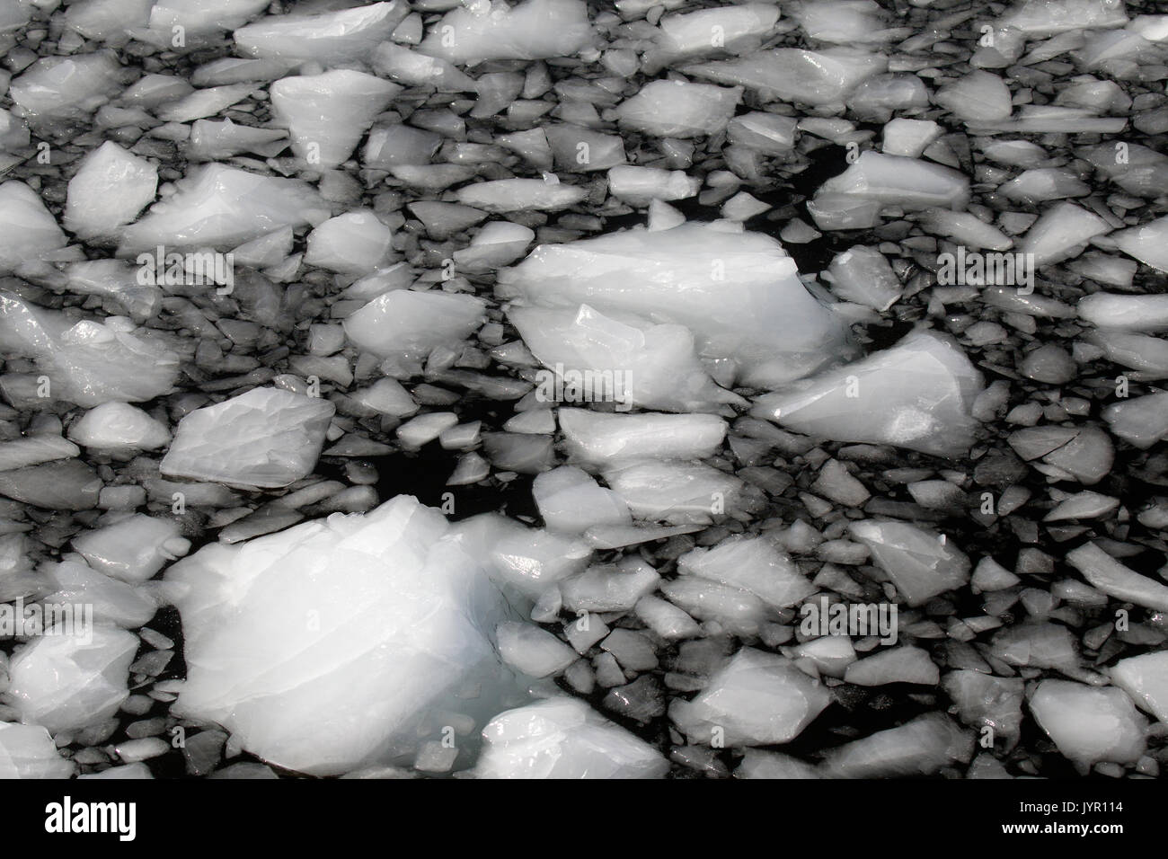 Chunks of Iceberg Floating in Ocean Stock Photo - Alamy